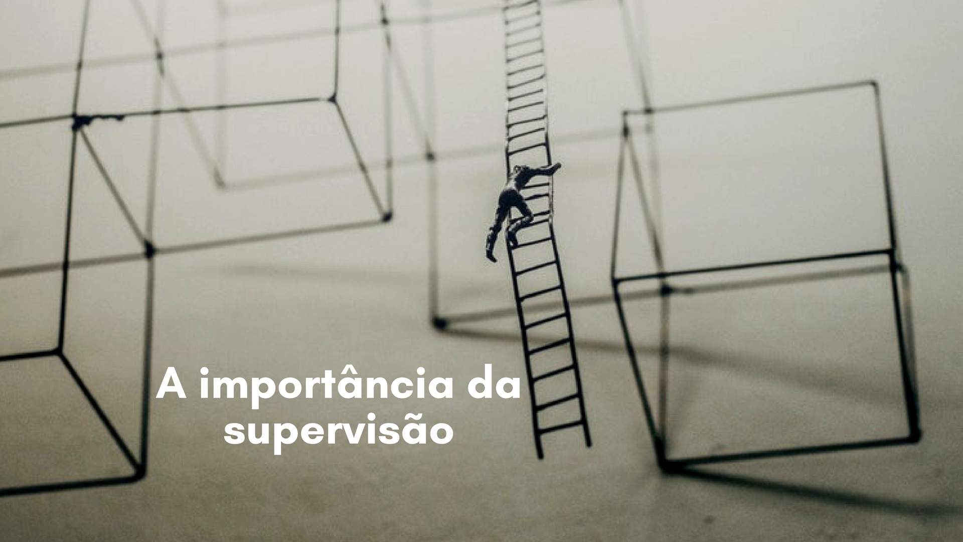 A importância da supervisão - exceder | Gestão de Vendas